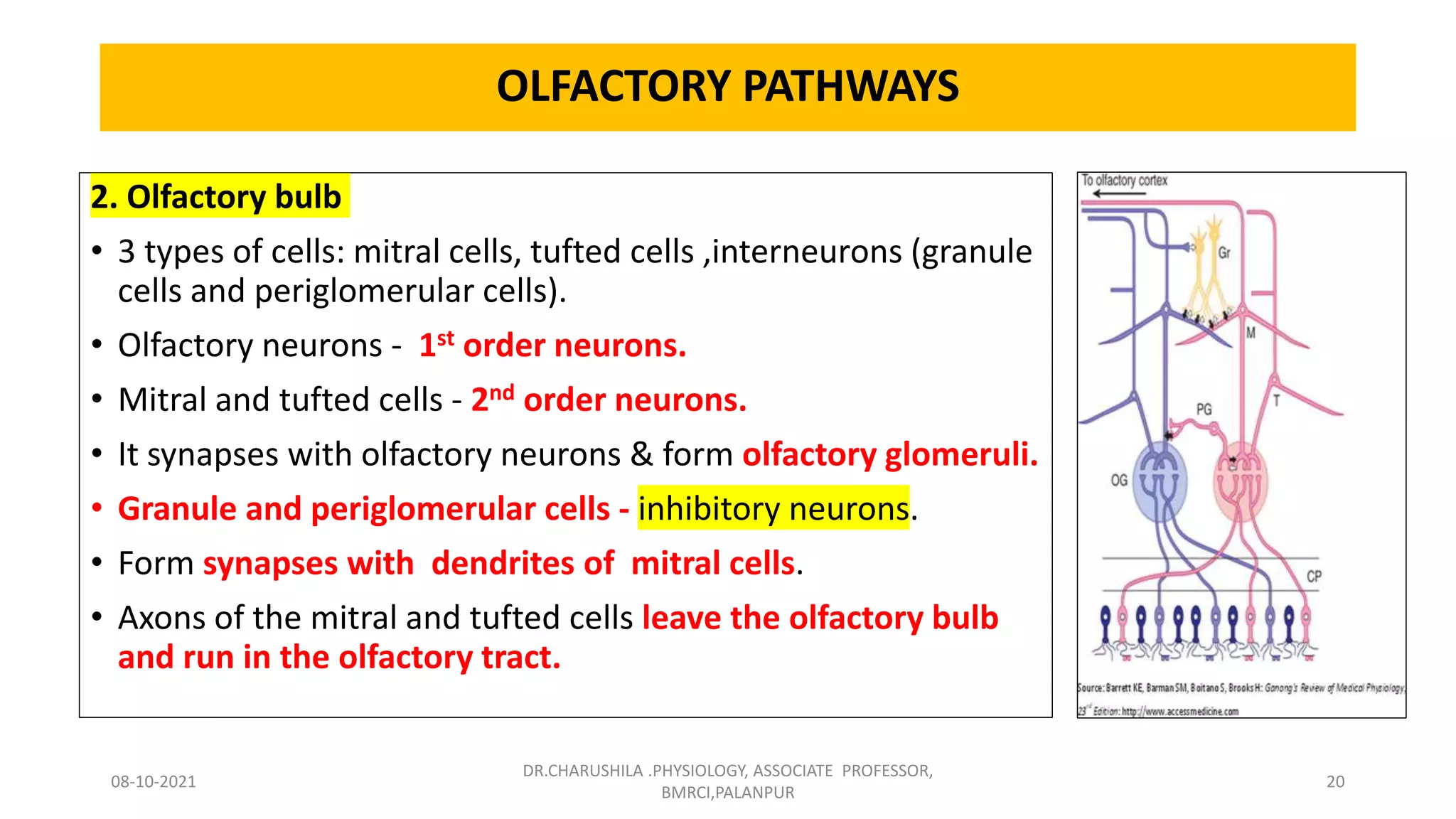 Lecture 9 /2022 , Special senses- Smell | PPTX