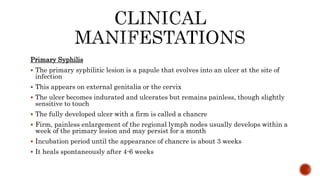 Spirochetes ppt microbiology and immunology | PPT
