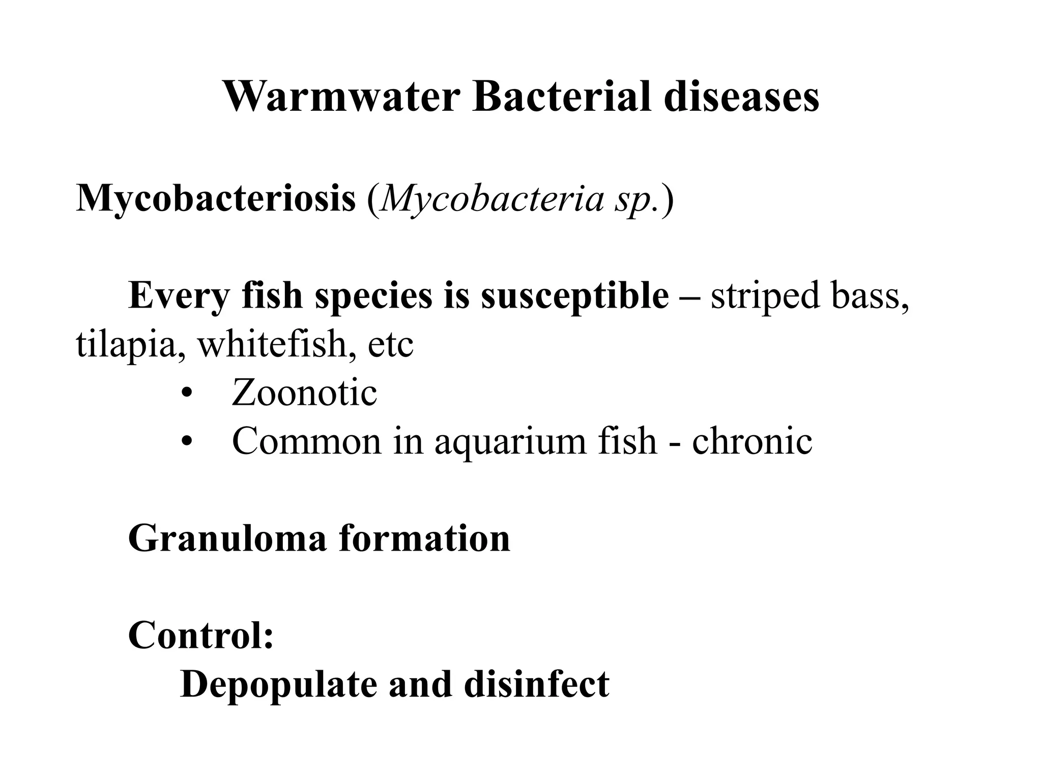 Lecture 14 Warmwater Bacterial disease.ppt
