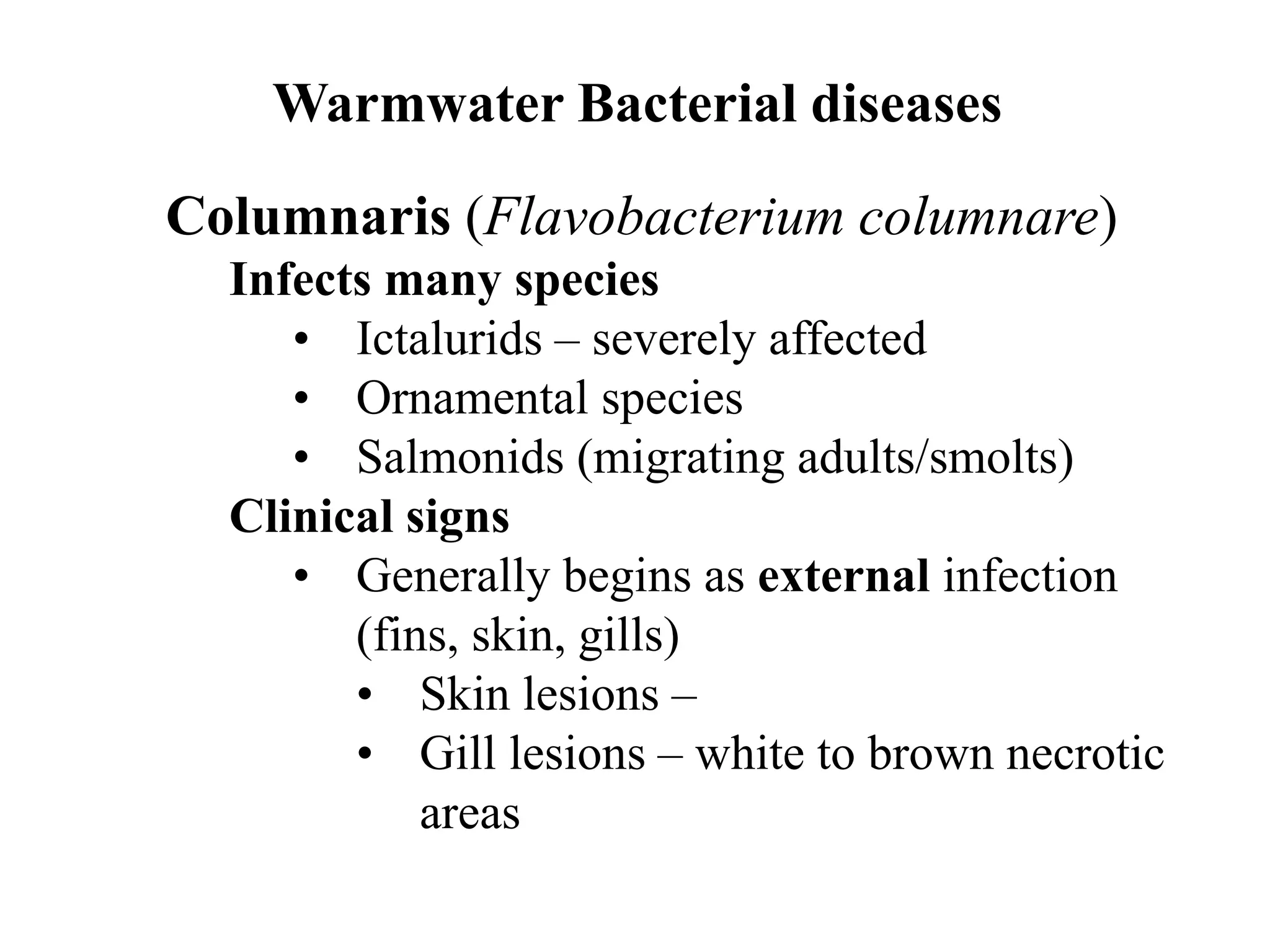 Lecture 14 Warmwater Bacterial disease.ppt