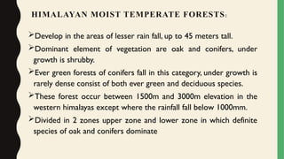 vegetation of Pakistan .pptx