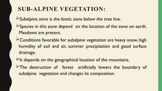 vegetation of Pakistan .pptx