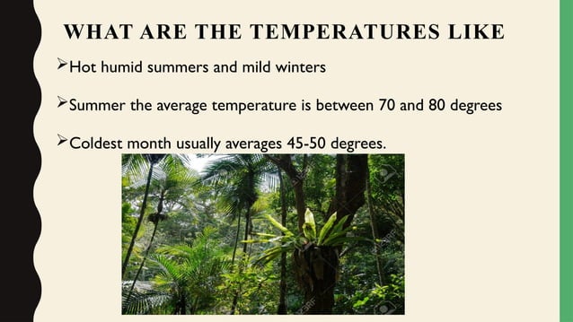 vegetation of Pakistan .pptx