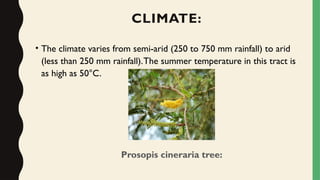 vegetation of Pakistan .pptx