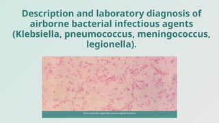 Klebsiella, pneumococcus, meningococcus, legionella.pptx