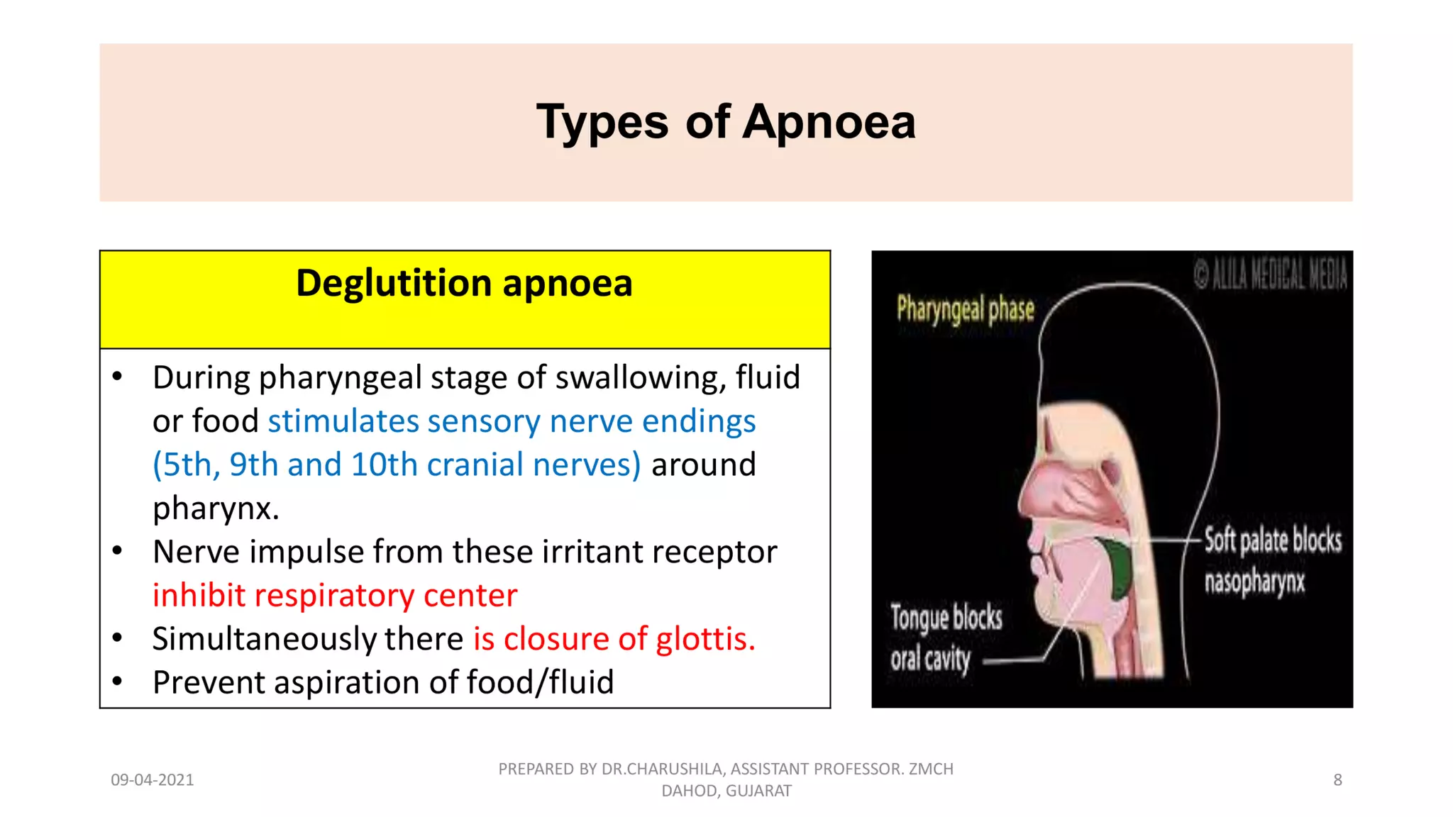 Respiratory patterns and its abnormality | PDF