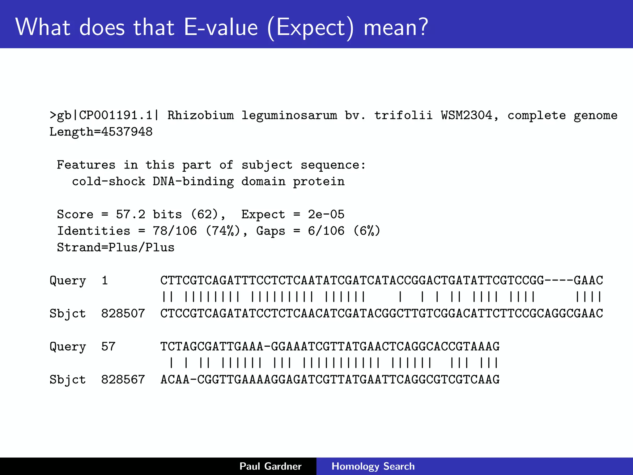 BIOL335: Homology search | PDF