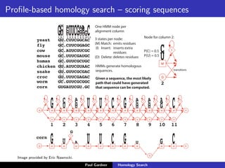 BIOL335: Homology search | PPT