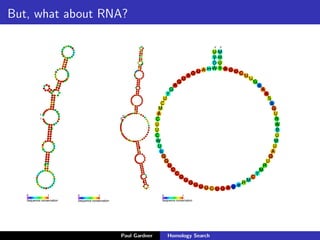 BIOL335: Homology search | PPT