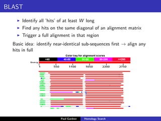 BIOL335: Homology search | PPT