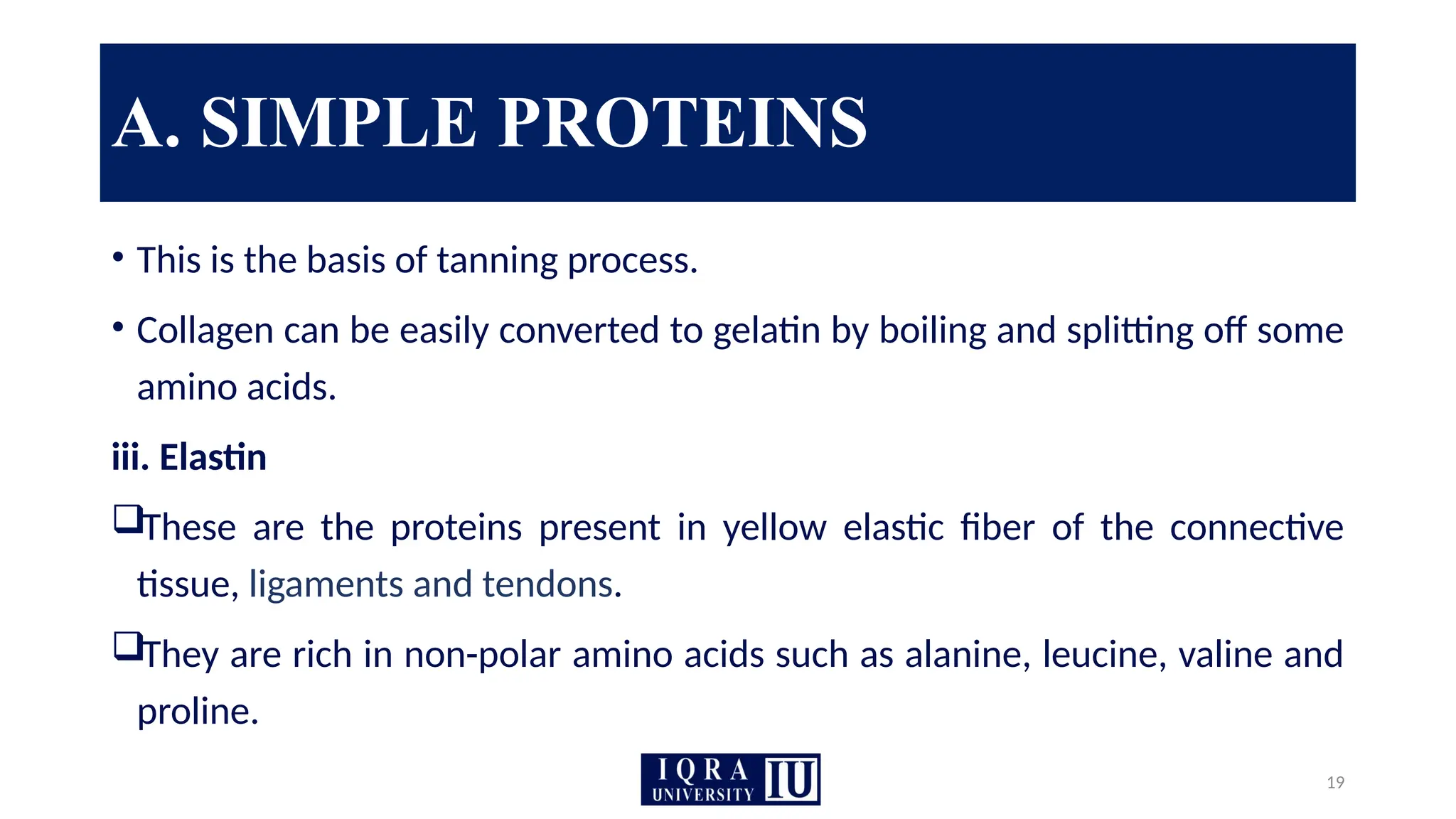 Protein and its types classification and uses | PPTX