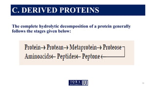 Protein and its types classification and uses | PPTX