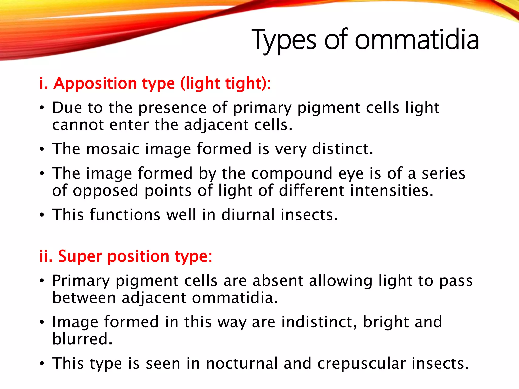 sense organs in insects | PPTX
