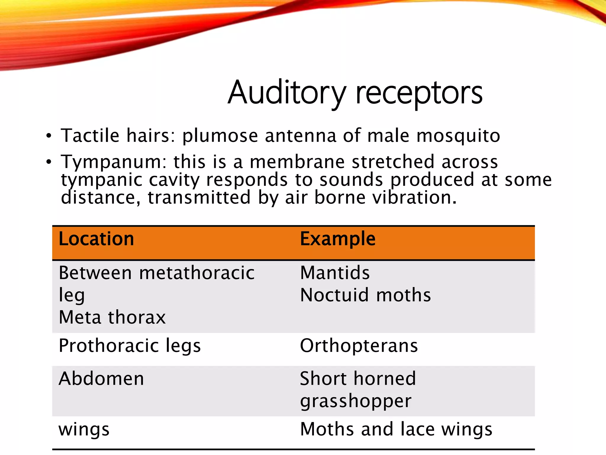 sense organs in insects | PPTX