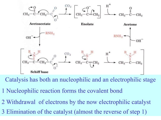 lecture_15a.ppt | Free Download
