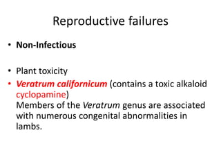 Lecture 15 infertility in sheep and goats | PDF