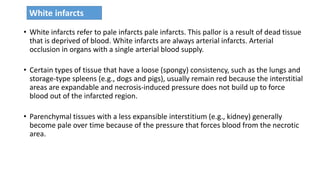 Lecture # 15, Ischemia and Infarction.pdf