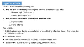 Lecture # 15, Ischemia and Infarction.pdf