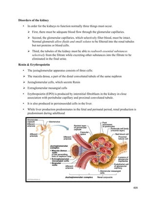 Lecture 15 kidney- pathology | PDF