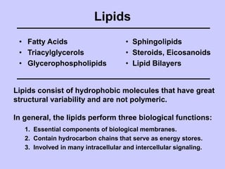 Lecture 15lipids | PPT