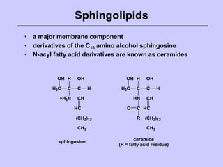 Lecture 15lipids | PPT