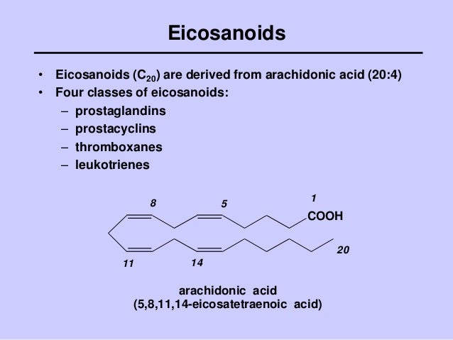 Lecture 15lipids