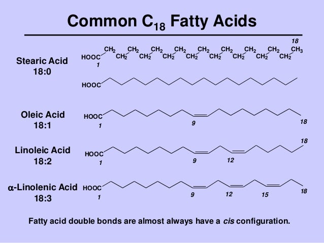 Lecture 15lipids
