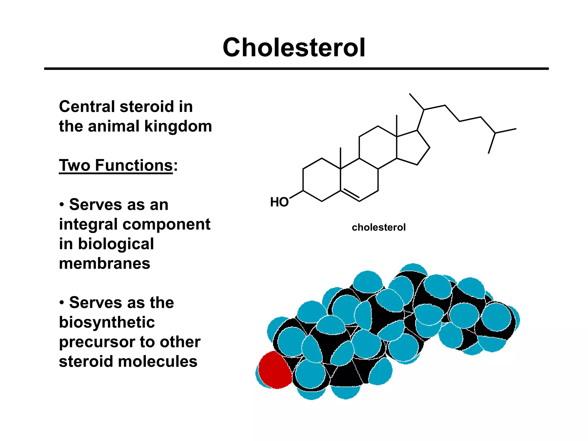 Lecture 15 lipids can be taught | PPT