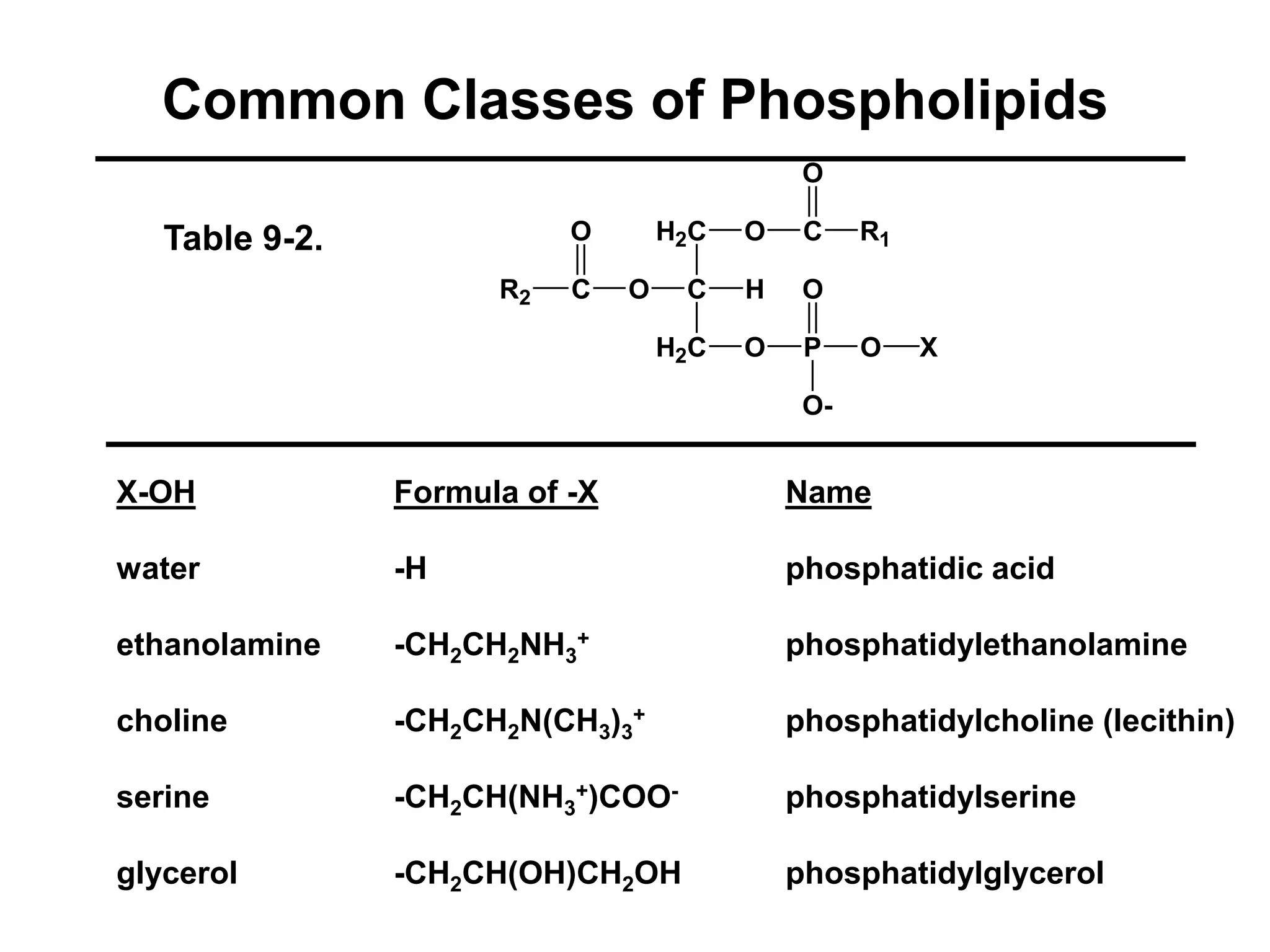Lecture 15 lipids can be taught | PPT