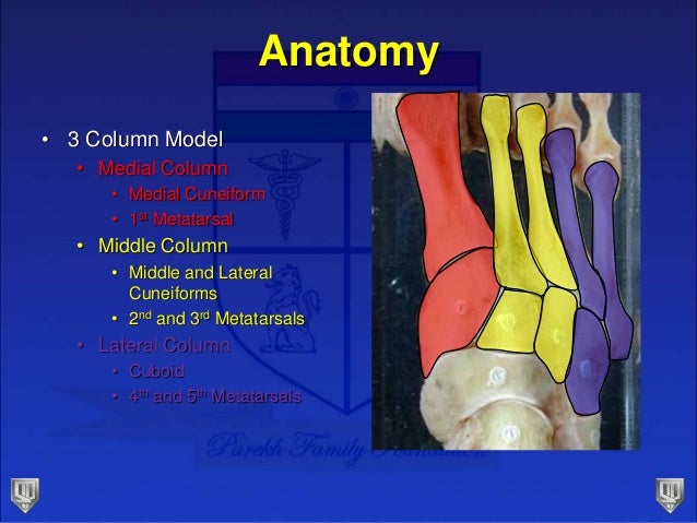 Lecture 15 parekh lisfranc