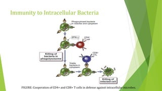 Immunity to Microbes | PPTX