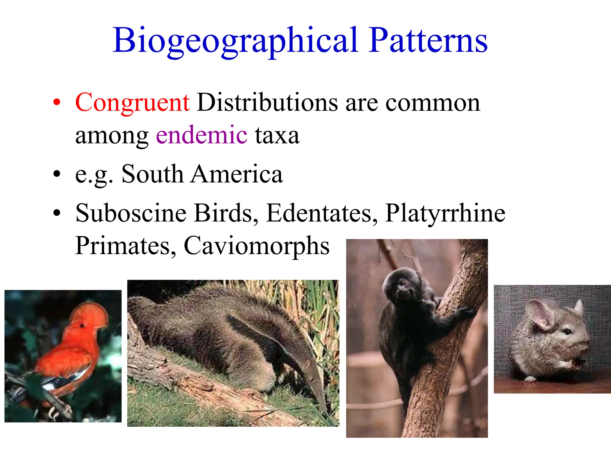 lecture16materialpptbiogeography biologi | PPT