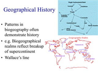 lecture16materialpptbiogeography biologi | PPT