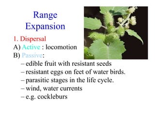 lecture16materialpptbiogeography biologi | PPT