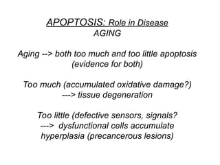 lecture16 apoptosis mechanism in biology.ppt