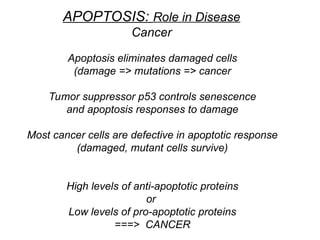 lecture apoptosis for gradutes .ppt