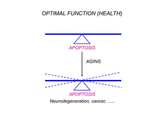 Programmed cell death (apoptosis). • Integral part of life ...