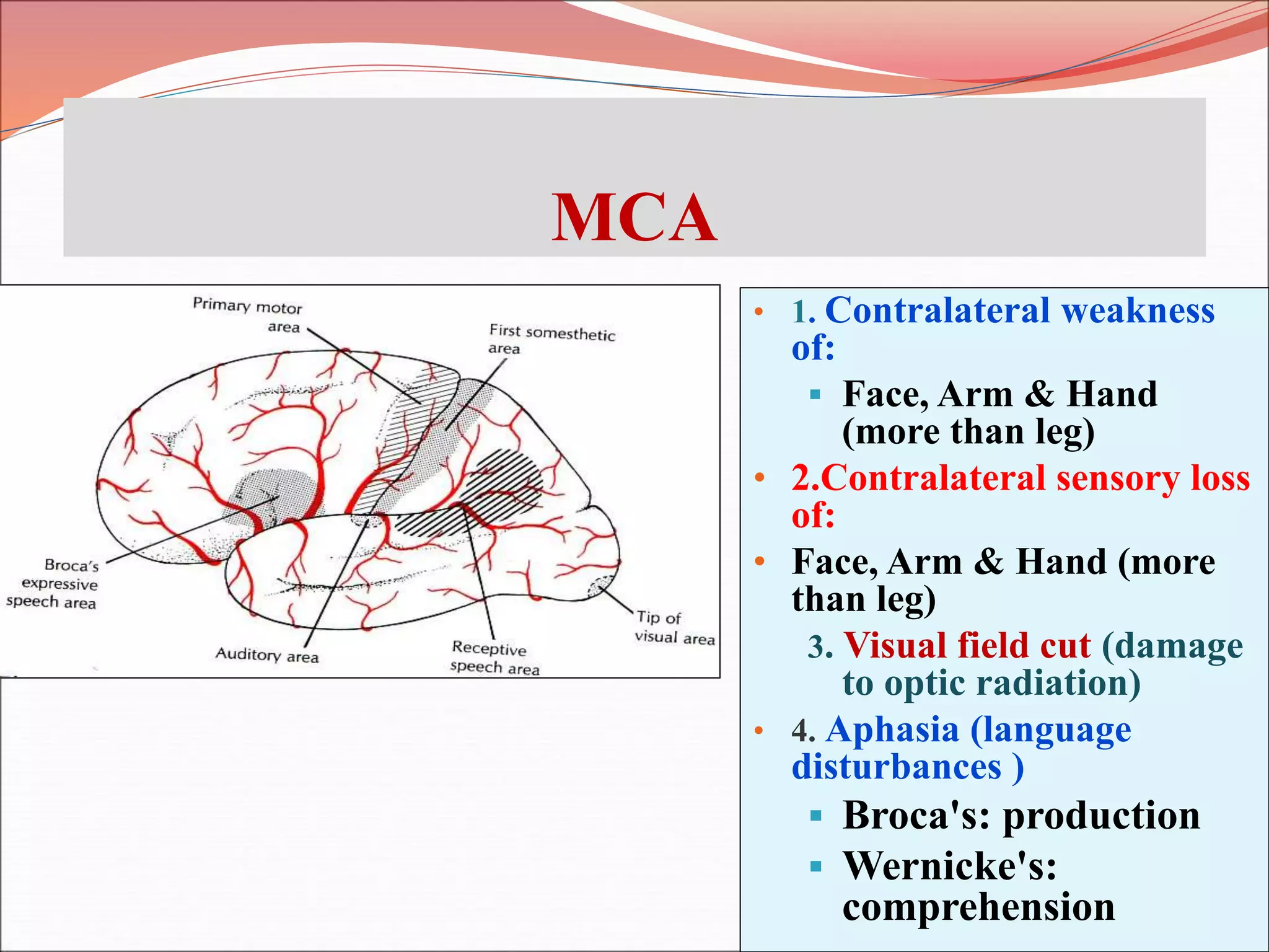 Lecture 16 - blood supply of cerebrum.ppt