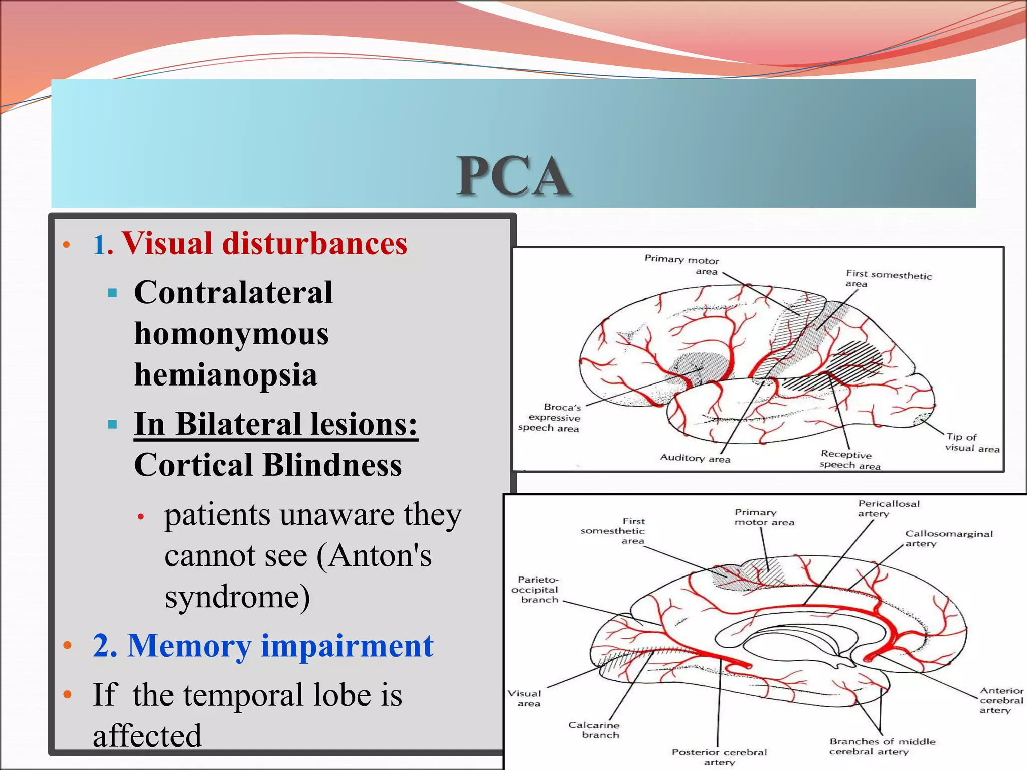 Lecture 16 - blood supply of cerebrum.ppt