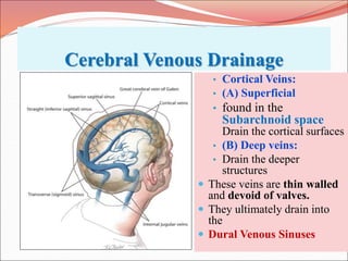 Lecture 16 - blood supply of cerebrum.ppt