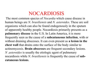 Lecture 16- Medical Mycology- Actinomycetes.ppt