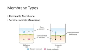 Lecture_16-Membrane_Separation process[1].pdf