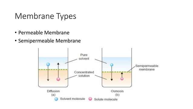 Lecture_16-Membrane_Separation process[1].pdf