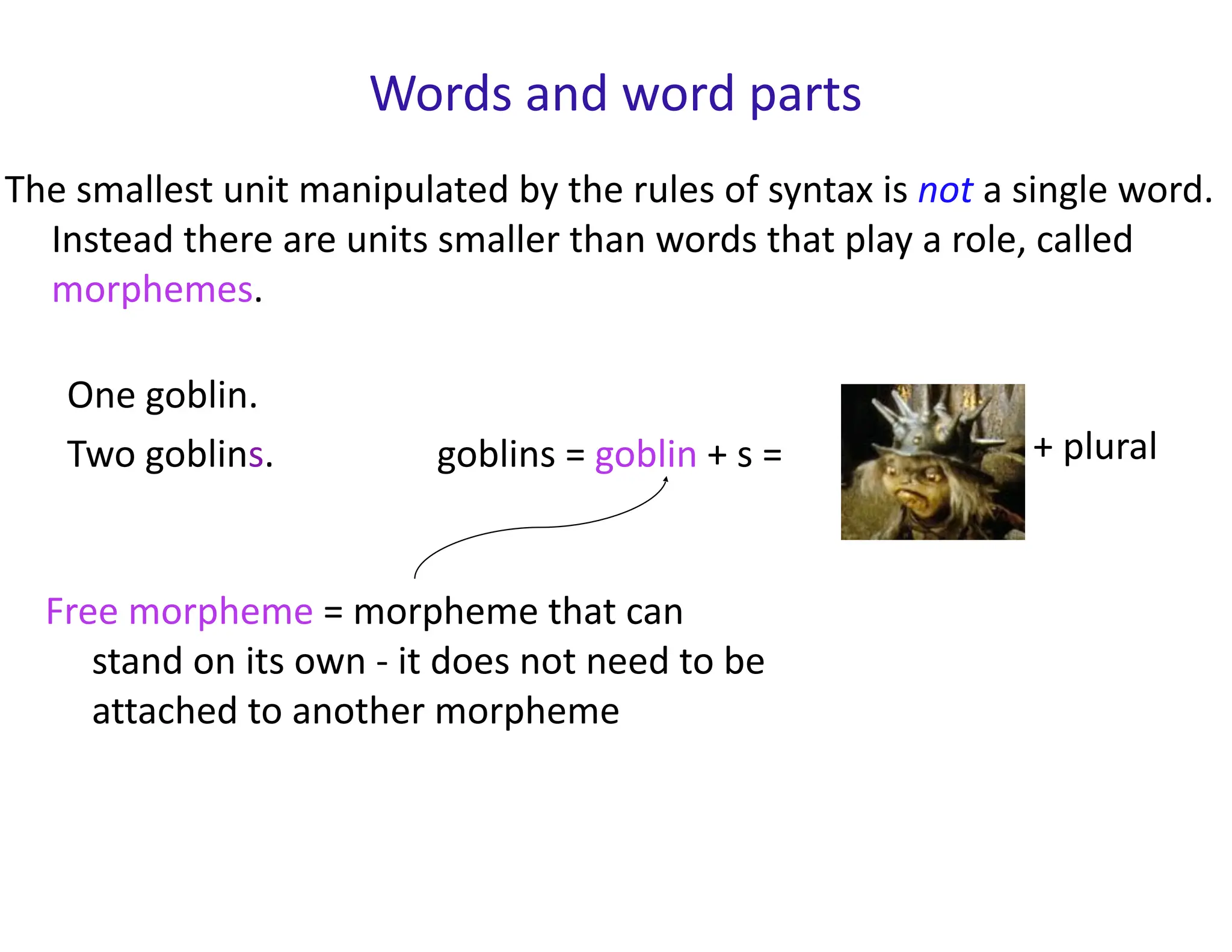 Description of morphology,types, development,and examples. | PPT