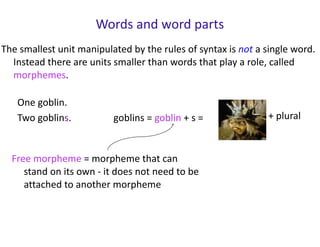 Description of morphology,types, development,and examples. | PPT