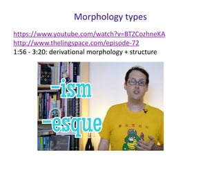Description of morphology,types, development,and examples. | PPT