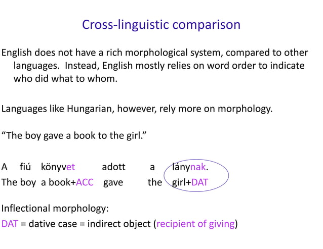 Description of morphology,types, development,and examples. | PPT