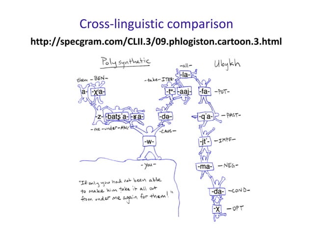 Description of morphology,types, development,and examples. | PPT