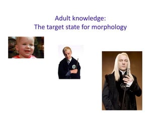 Description of morphology,types, development,and examples. | PPT