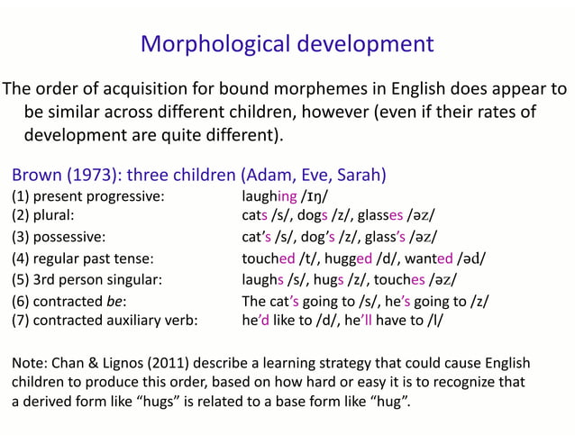 Description of morphology,types, development,and examples. | PPT